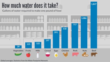 Plant-Based Diets: Be Healthier while Reducing Your Water Footprint ...